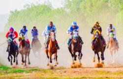 Zaria Derby 2026: Nigeria-bred horses shine on global stage – HRFN ...
